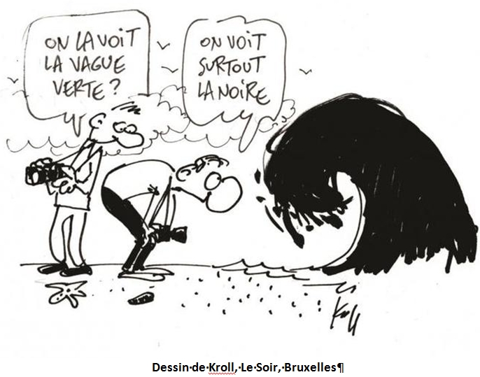 election-euro-vague-noire – Libres jugements