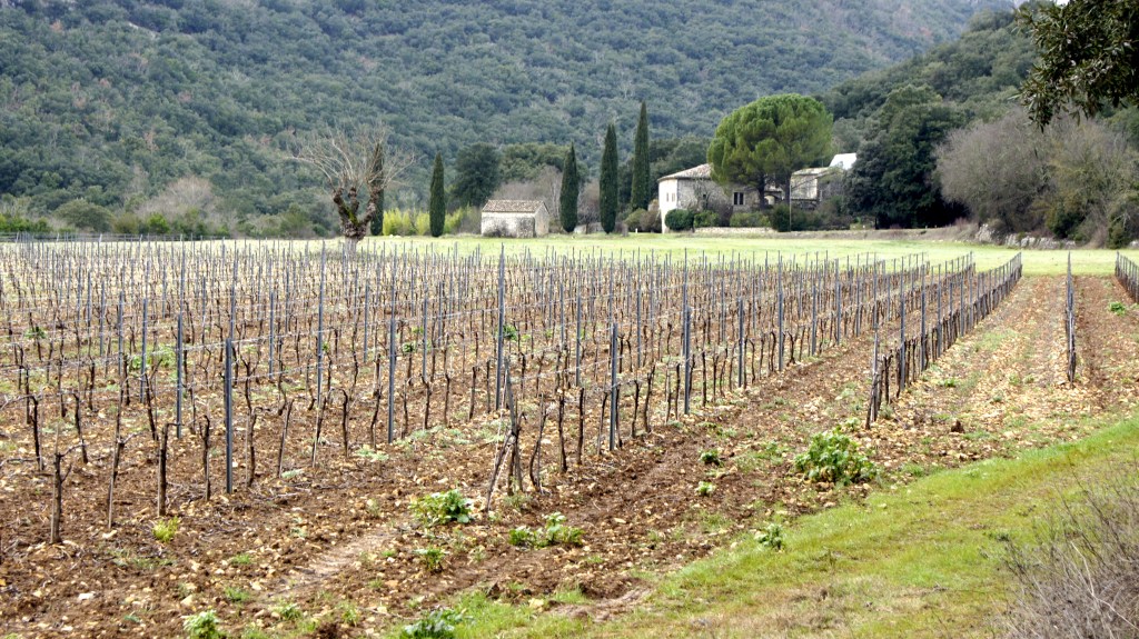 Rappel balade 36 – Libres jugements