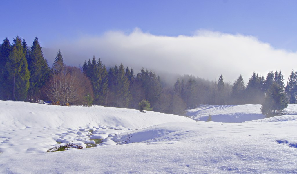 Rappel balade 80 – Libres jugements